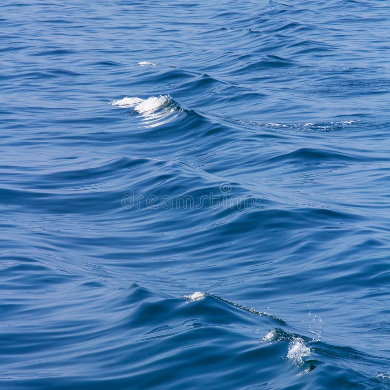 Sea waves stock photo. Image of coast, material, wave - 43307194