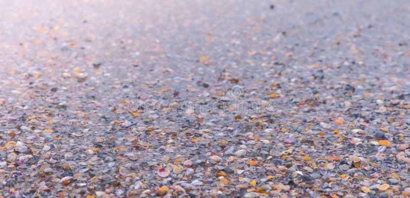 Sea Waves on the Sand Beach with Small Shells, Calm Sea. Stock Photo ...