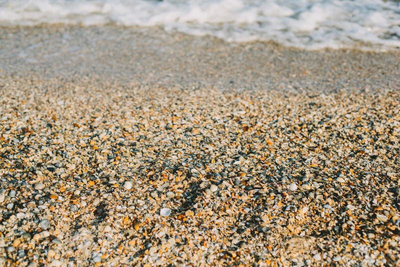 Sea Waves Washed Clean Beach Made of Shells. Stock Image - Image of ...