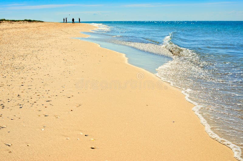 Sea Waves Washed Clean Beach Made of Shells. Landscape on a Wild Beach ...
