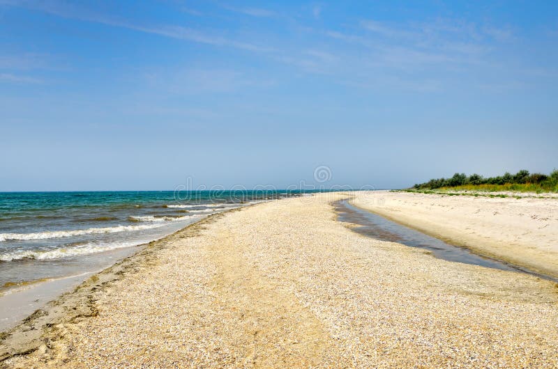 Sea Waves Washed Clean Beach Made of Shells. Landscape on a Wild Beach ...
