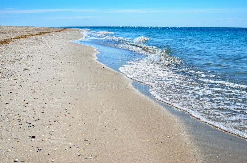 Sea Waves Washed Clean Beach Made of Shells. Landscape on a Wild Beach ...