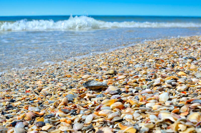 Sea Waves Washed Clean Beach Made of Shells. Landscape on a Wild Beach ...