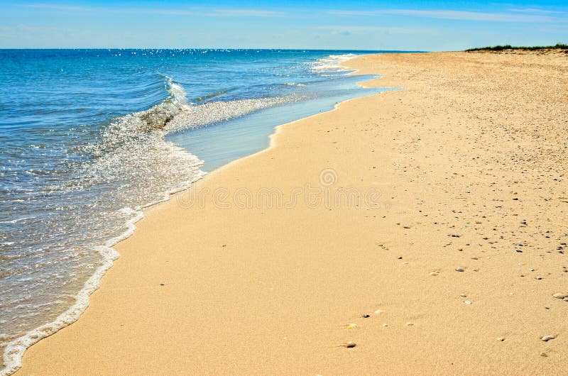 Sea Waves Washed Clean Beach Made of Shells. Landscape on a Wild Stock ...