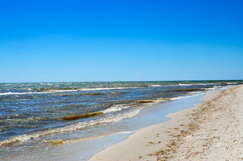 Sea Waves Washed Clean Beach Made of Shells. Landscape on a Wild Beach ...