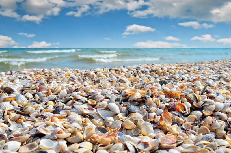 Sea Waves Washed Clean Beach Made of Shells. Landscape on a Wild Beach ...