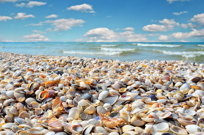 Sea Waves Washed Clean Beach Made of Shells. Stock Photo - Image of ...