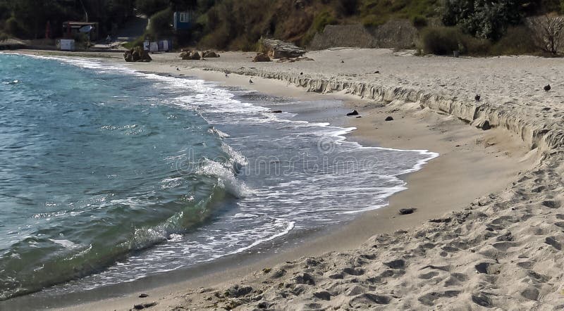 Sea Waves with White Foam Roll on the Sandy Shore Stock Image - Image ...