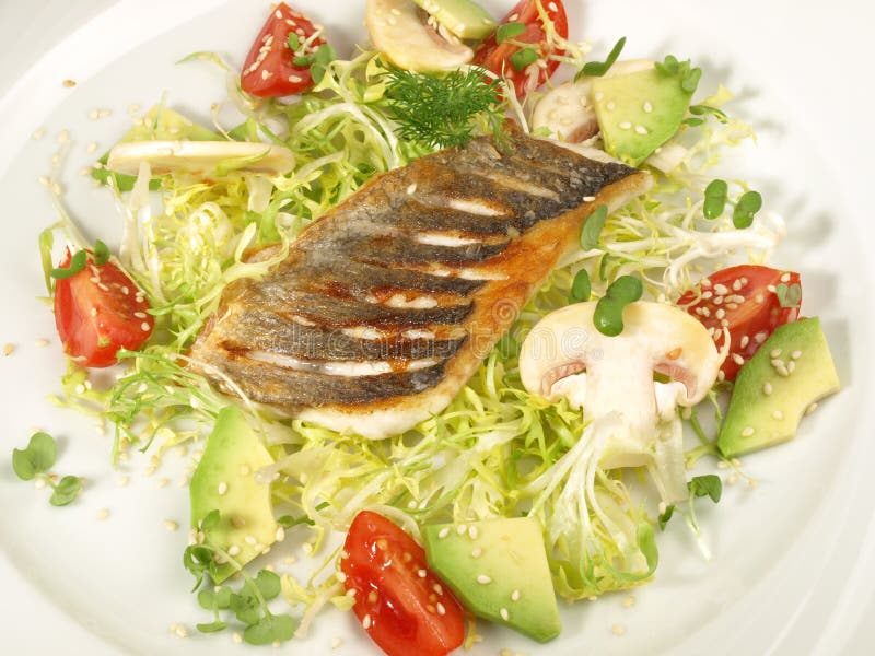 Sea Wolf - Fish Fillet with Salad Stock Photo - Image of isolated ...