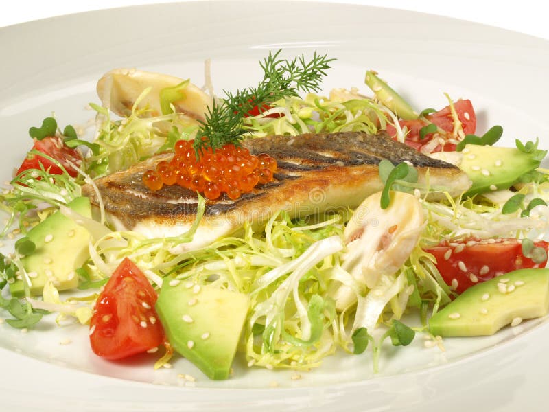 Sea Wolf - Fish Fillet with Salad Stock Image - Image of fresh, italian ...