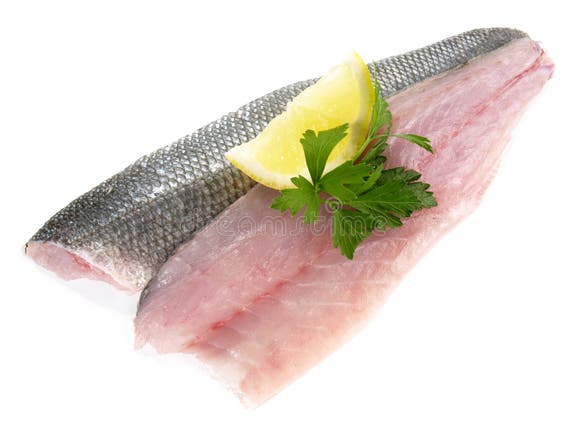 Sea Wolf - Fish Fillet stock photo. Image of ocean, loin - 146831364