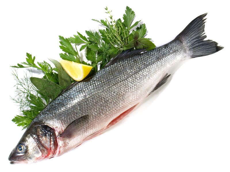 Sea Wolf - Fish Fillet with Salad Stock Image - Image of fresh, italian ...