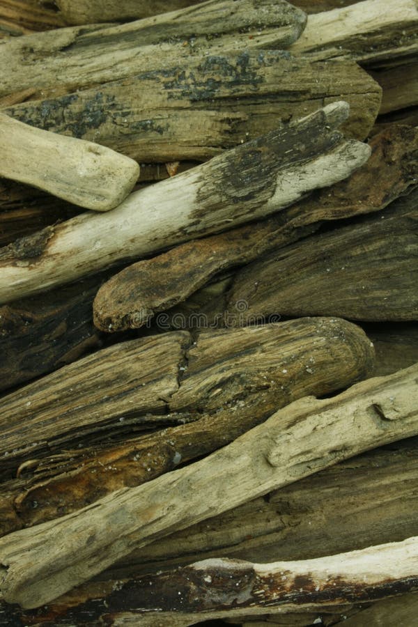 Sea wood stock image. Image of details, wood, collection - 13487503