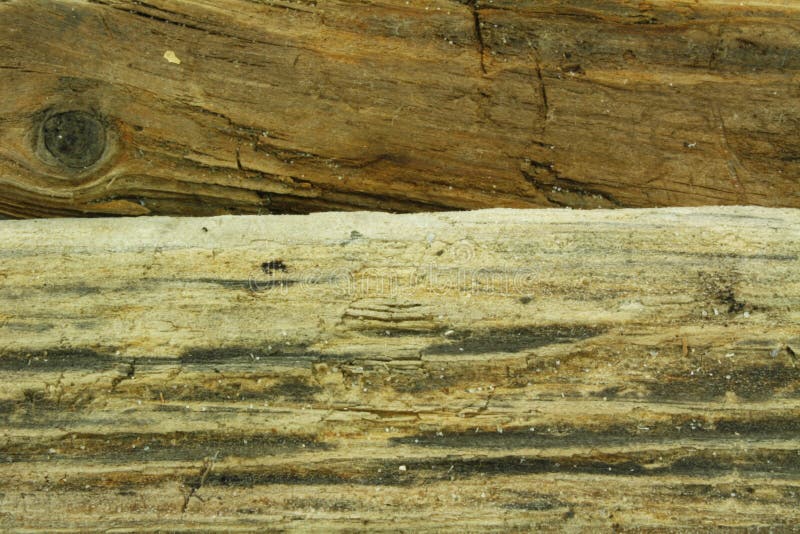 Old sea wood stock image. Image of branch, rustic, details - 13399923