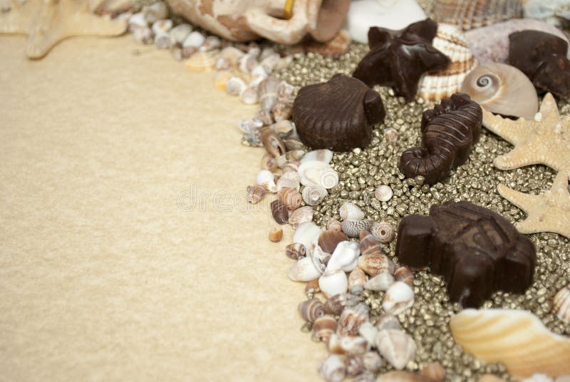 Chocolate Seashell Truffles Stock Photo - Image of piece, delicious ...