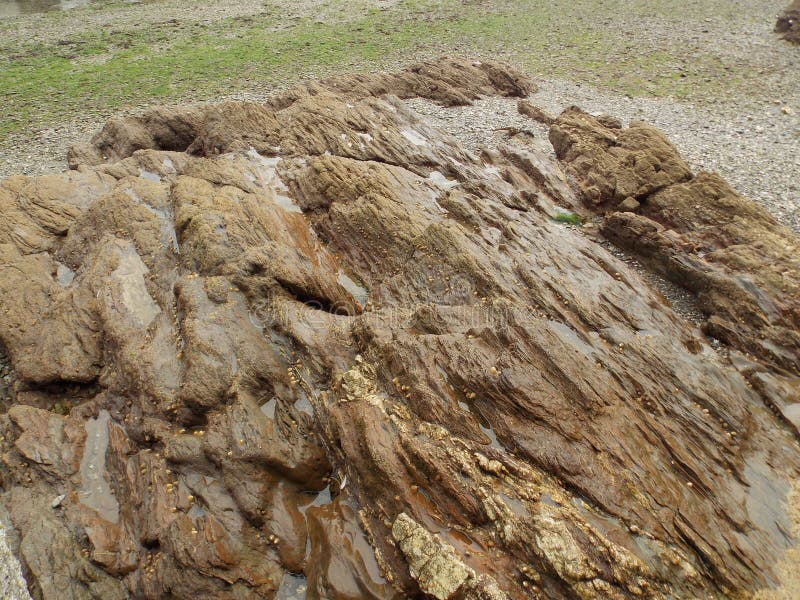 Sea Shells on a Worn Out Table Stock Image - Image of space, tropical ...