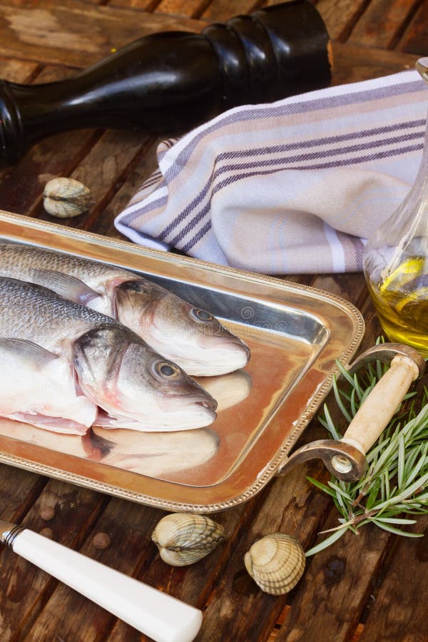 Seabass stock photo. Image of fresh, seafood, preparation - 59482724