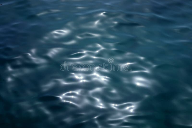 589 Seabed Top View Stock Photos - Free & Royalty-Free Stock Photos ...