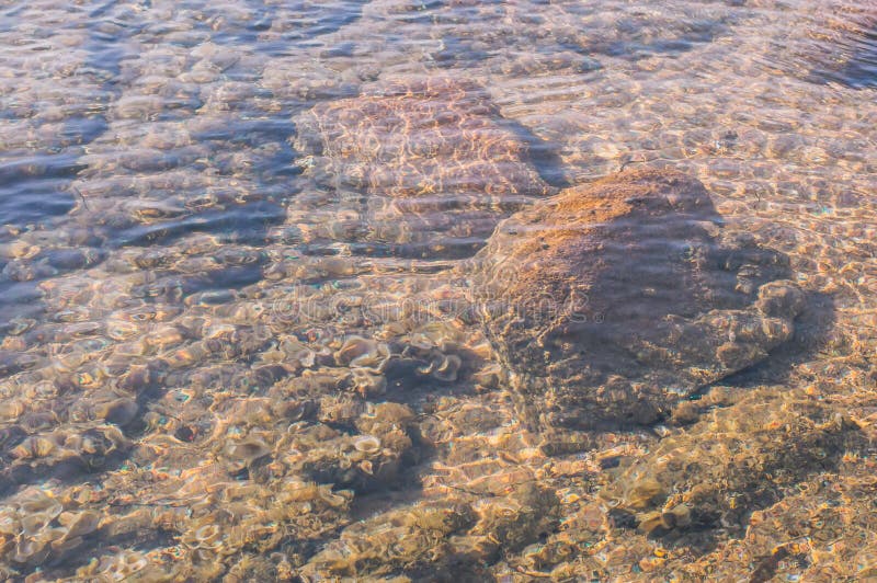 Seabed Background with Stones, Sand and Shells Stock Image - Image of ...