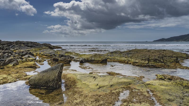 The Seabed Exposed at Low Tide. Algae and Attached Mollusks are Visible ...