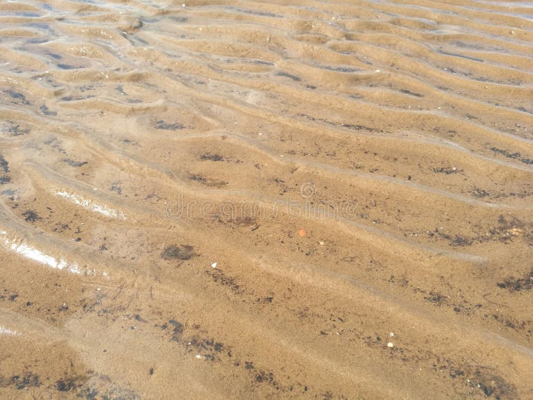 Seabed in the Form of Wavy Ridges Stock Photo - Image of light, marine ...