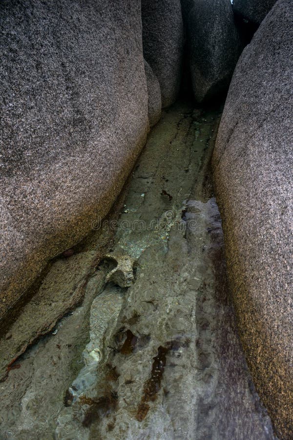 Seabed with large stones stock image. Image of river - 187889625