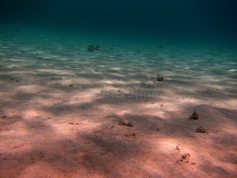 River Underwater Rocks on a Shallow River Stock Image - Image of green ...