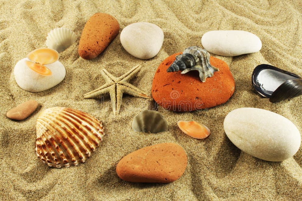 Seabed, Sand, Stones, Seashells Stock Image - Image of seabed ...