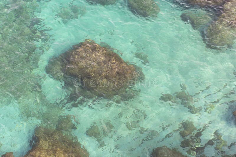 Seabed Seen through Clear, Shallow Water Stock Photo - Image of oceanic ...
