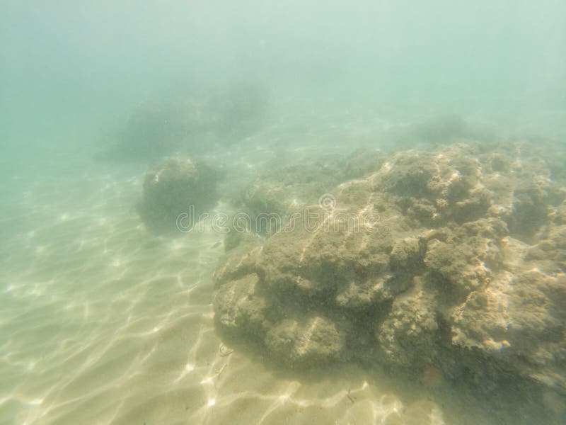 Seabed in Shells on the Rocks. Stock Image - Image of pattern, sand ...