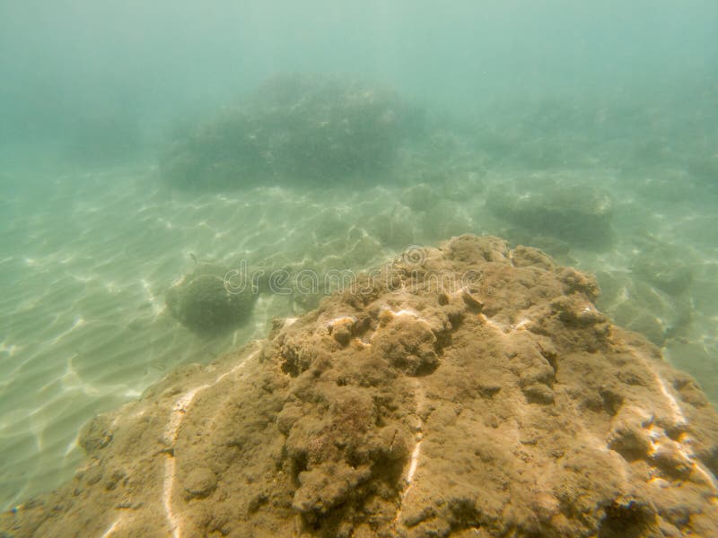 Seabed in Shells on the Rocks. Stock Photo - Image of sand, underwater ...