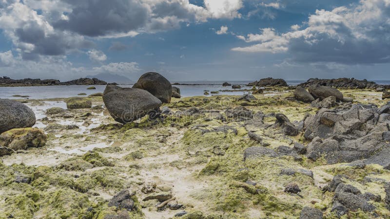 The Seabed Was Exposed at Low Tide. Green Algae are Visible on the ...