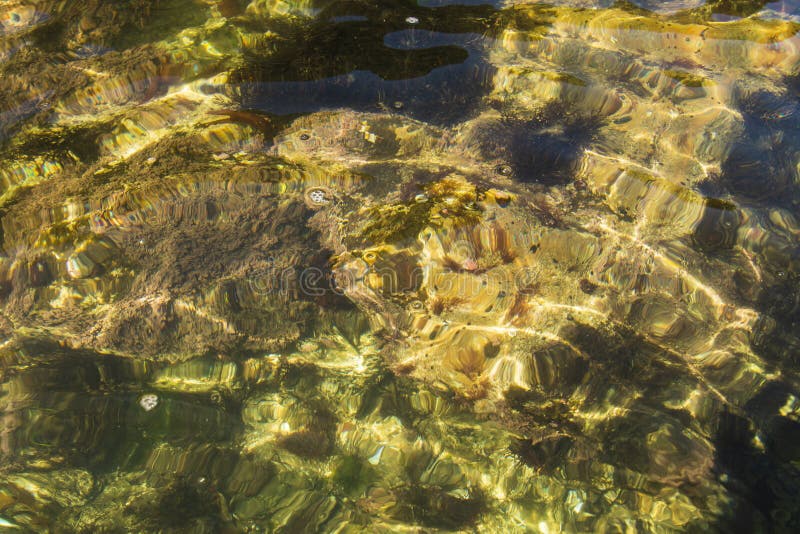 The Seabed through the Water Stock Image - Image of ship, seashore ...