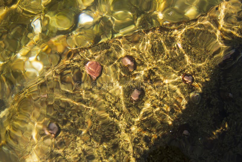 The Seabed through the Water Stock Image - Image of seashore, blue ...