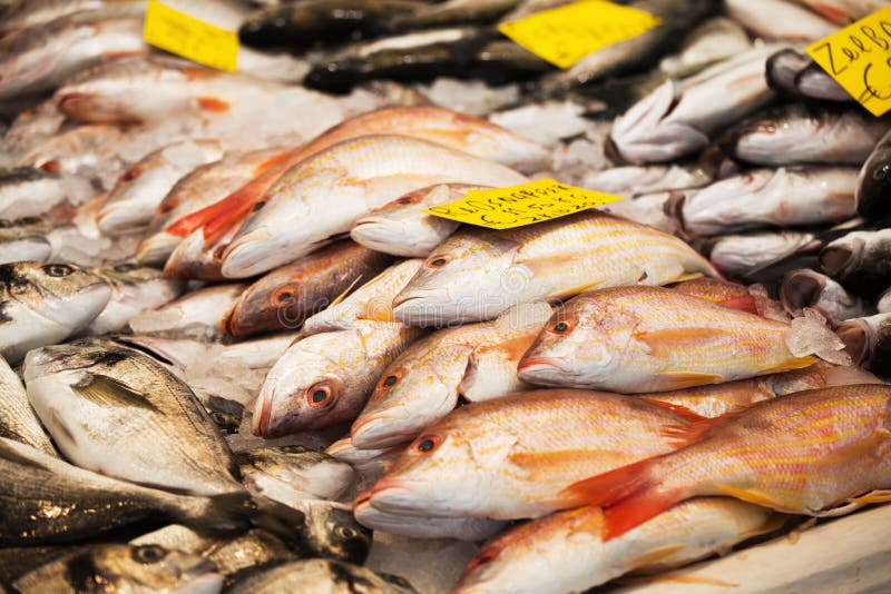 Seafish stock photo. Image of stall, fish, nutrition - 34083996