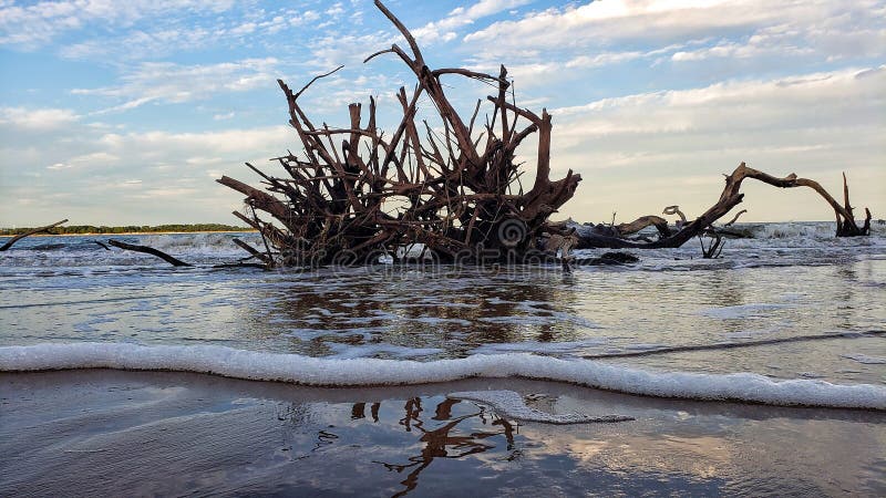 Seafoam on the beach stock photo. Image of beach, ocean - 180510030