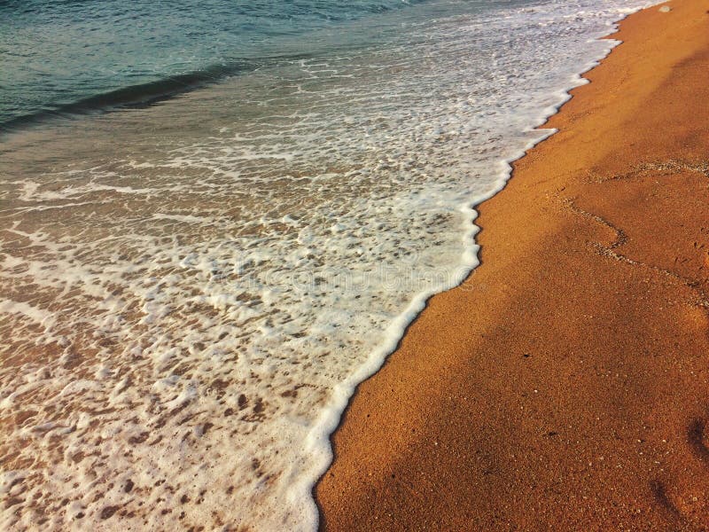 Seafoam on the beach stock image. Image of mineral, fruits - 98714417