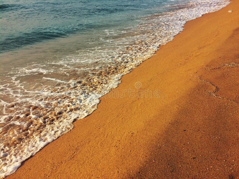 Seafoam on the beach stock image. Image of food, tangerine - 98714421