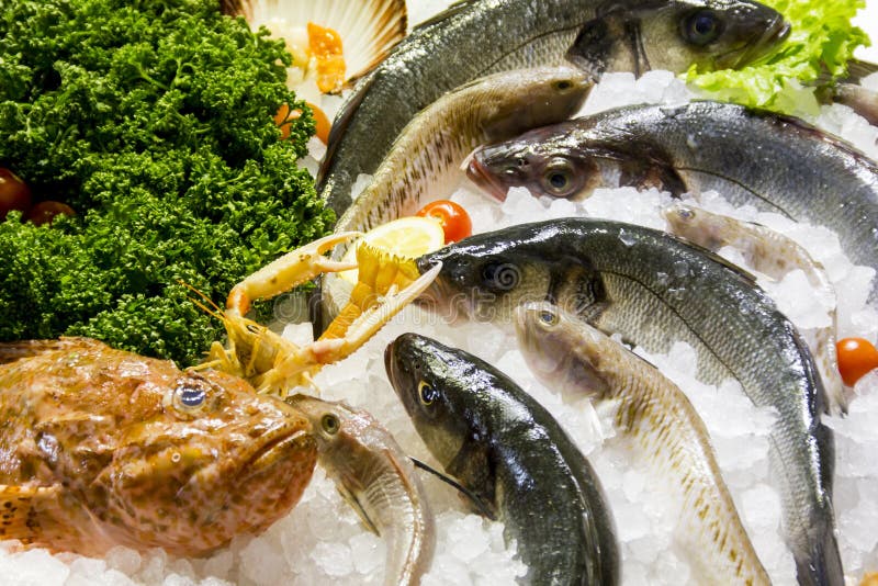 Fresh seafood stock image. Image of shell, cooling, seafood - 15043117