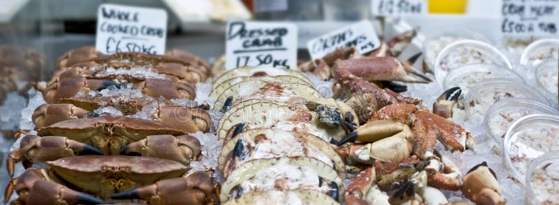 13,636 Seafood Display Stock Photos - Free & Royalty-Free Stock Photos ...