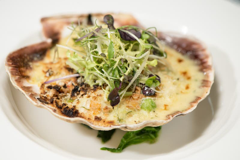 Seafood - Baked Scallop on the Shell Stock Photo - Image of events ...