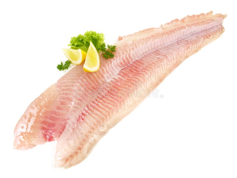 Seafood - Catfish Fish Fillet Isolated on White Background Stock Photo ...