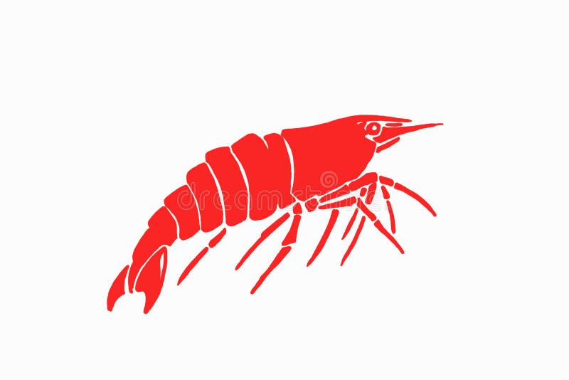 Seafood Color Element, Red Shrimp Isolated on White, Graphical Vector ...