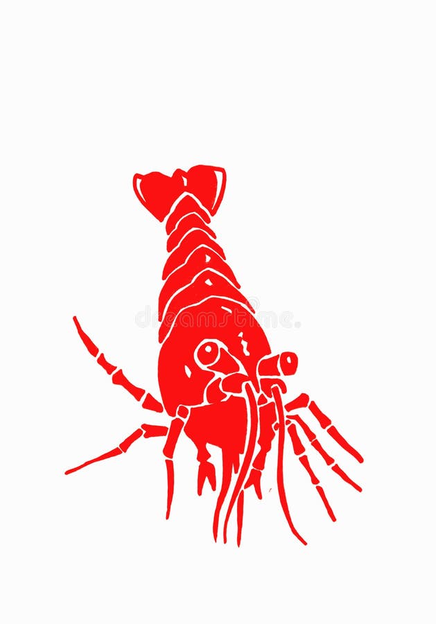 Seafood Color Element, Red Shrimp Isolated on White, Graphical Vector ...