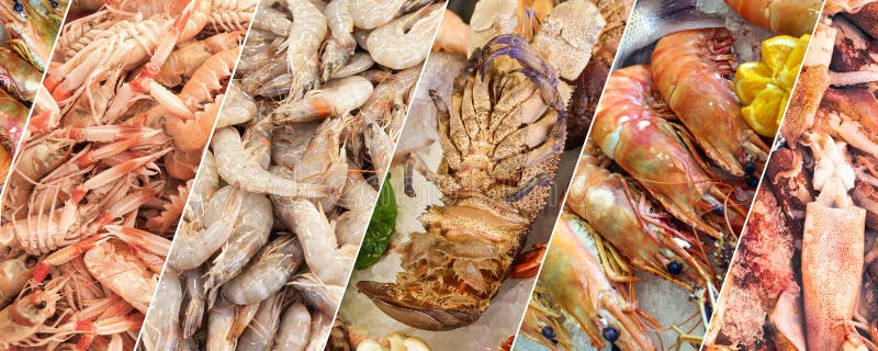 Seafood Dish Collage with Fish, Shrimp, Lobsters, and Squid Stock Image ...