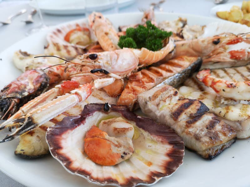Seafood Dish Mixed Shrimp and Shellfish Stock Image - Image of buffet ...