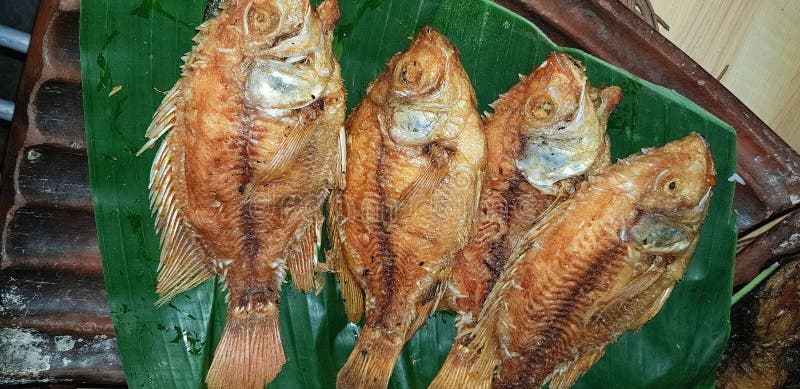 Seafood Dish Served on the Table and Plate from Above with Different ...