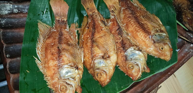 Seafood Dish Served on the Table and Plate from Above with Different ...