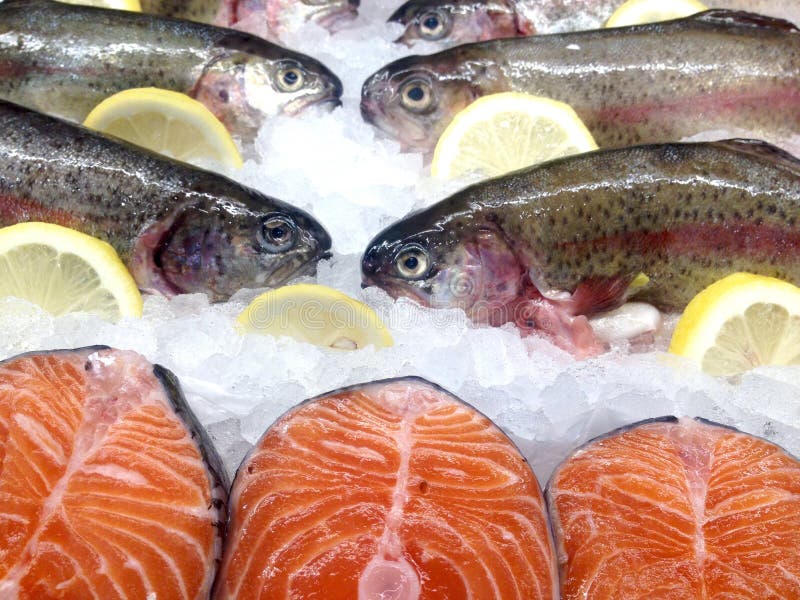 Seafood display case stock photo. Image of shellfish - 115977690