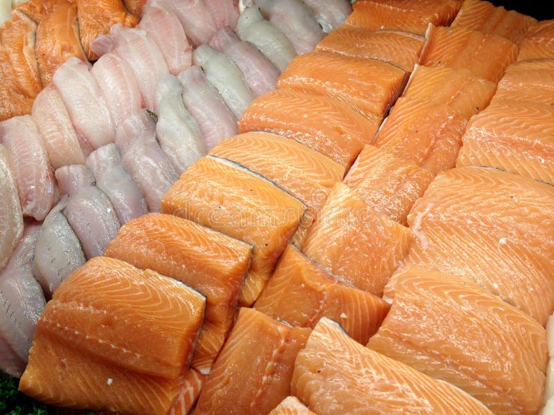 Seafood display case stock photo. Image of case, farm - 115977762